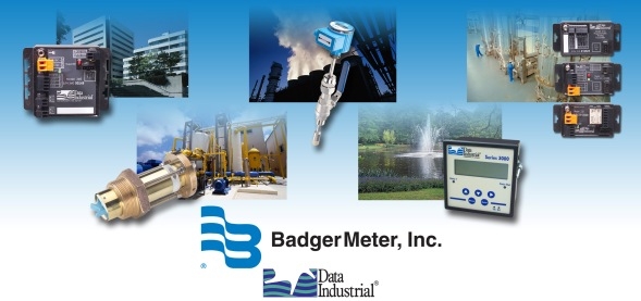 Badger Meter – Data Industrial Division